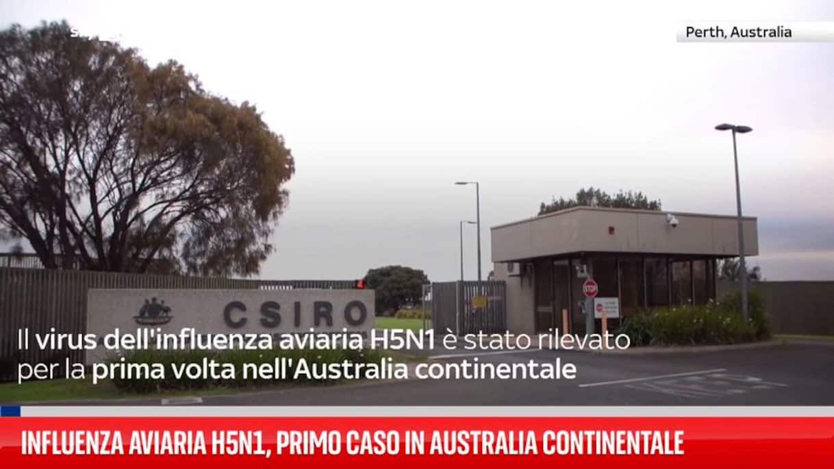 Influenza aviaria H5N1, primo caso in Australia continentale