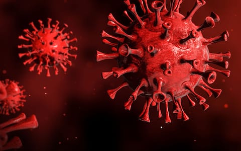 Covid, l'Oms: Oltre 7 milioni di morti dall'inizio della pandemia | Sky ...