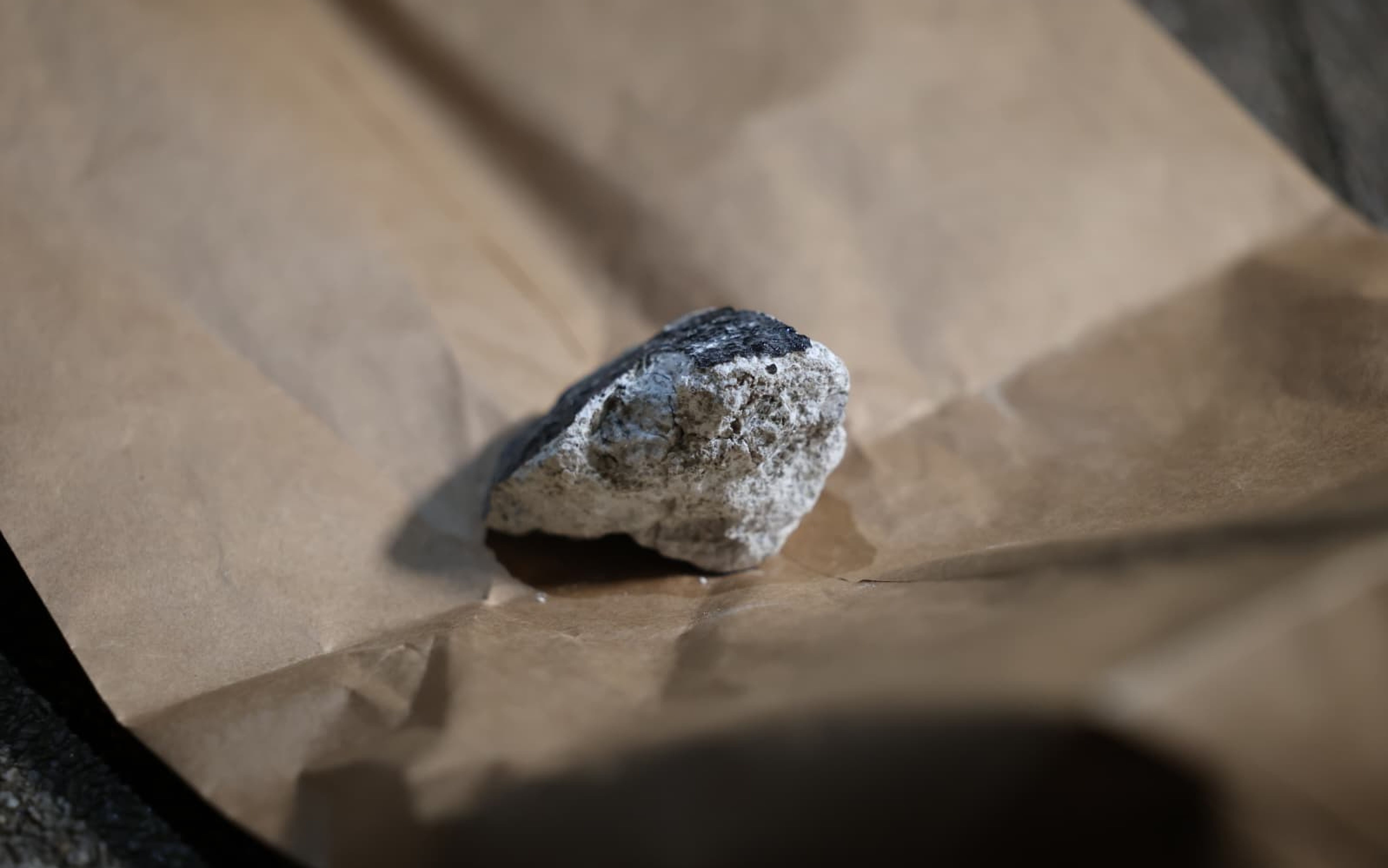 meteorite news | Sky TG24