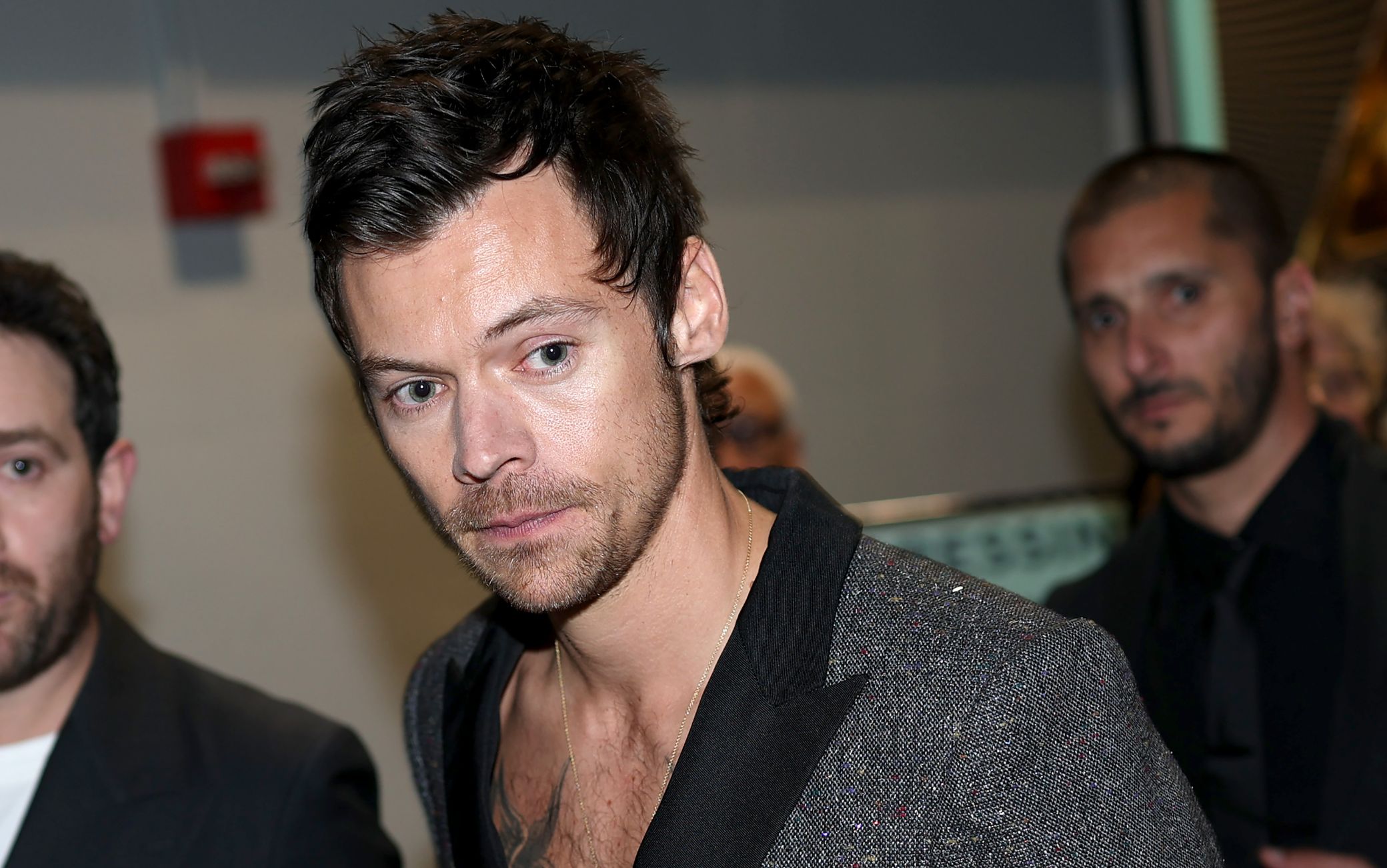 Harry Styles, tutti i significati nascosti del suo nuovo album | Sky TG24