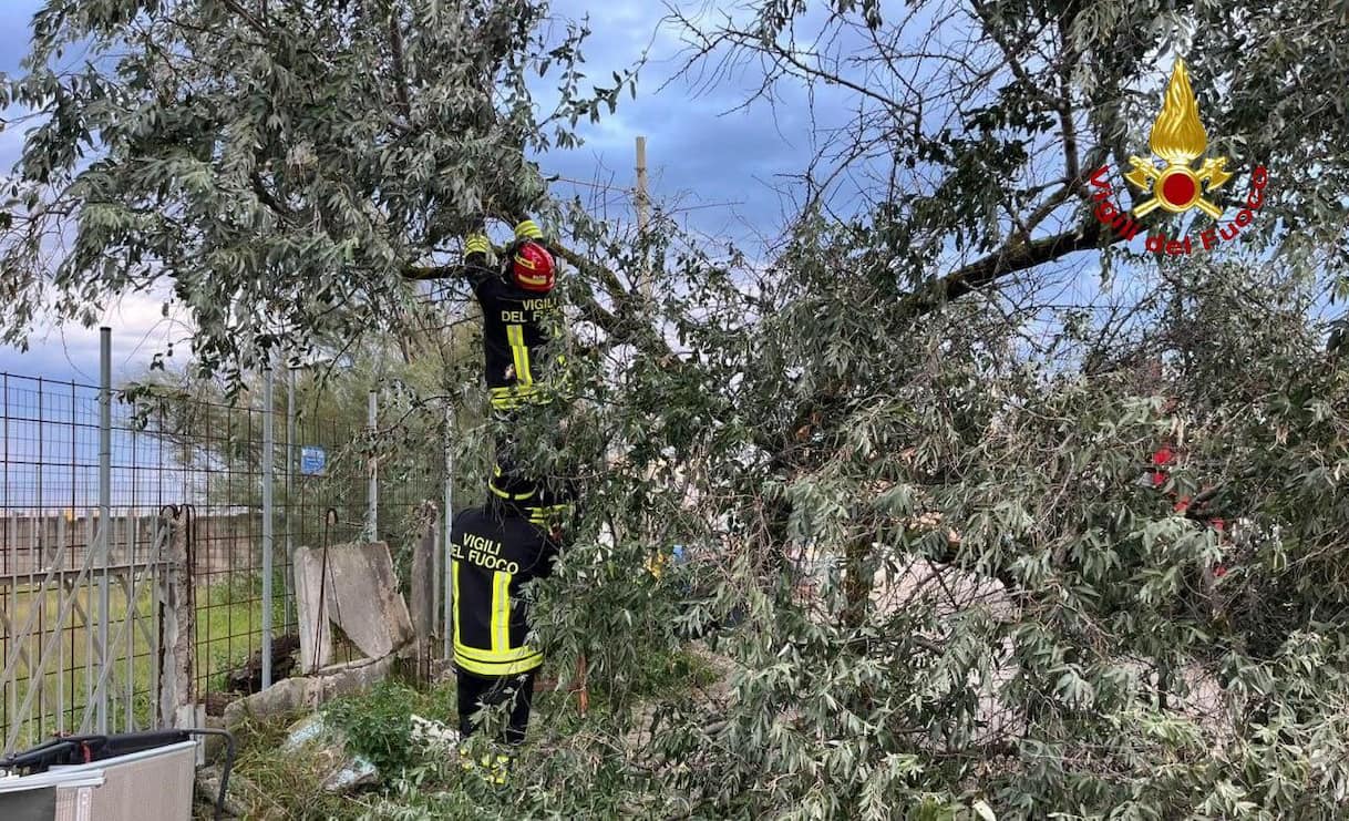 tromba d'aria devasta Milano Marittima: danni anche al Papeete. VIDEO ...