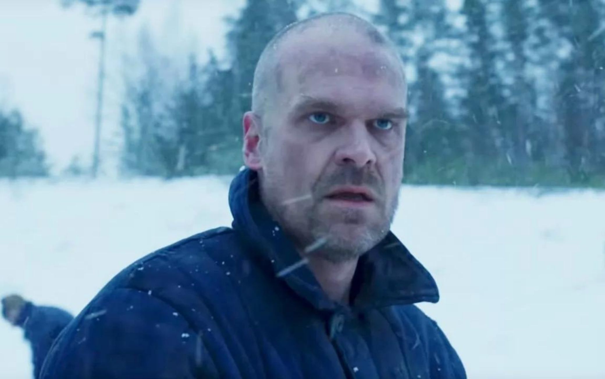 Stranger Things, David Harbour anticipa che ci sarà un finale ...