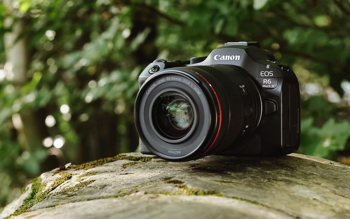 Canon EOS R6 Mark III: caratteristiche, novità, prezzi in Italia | Sky TG24