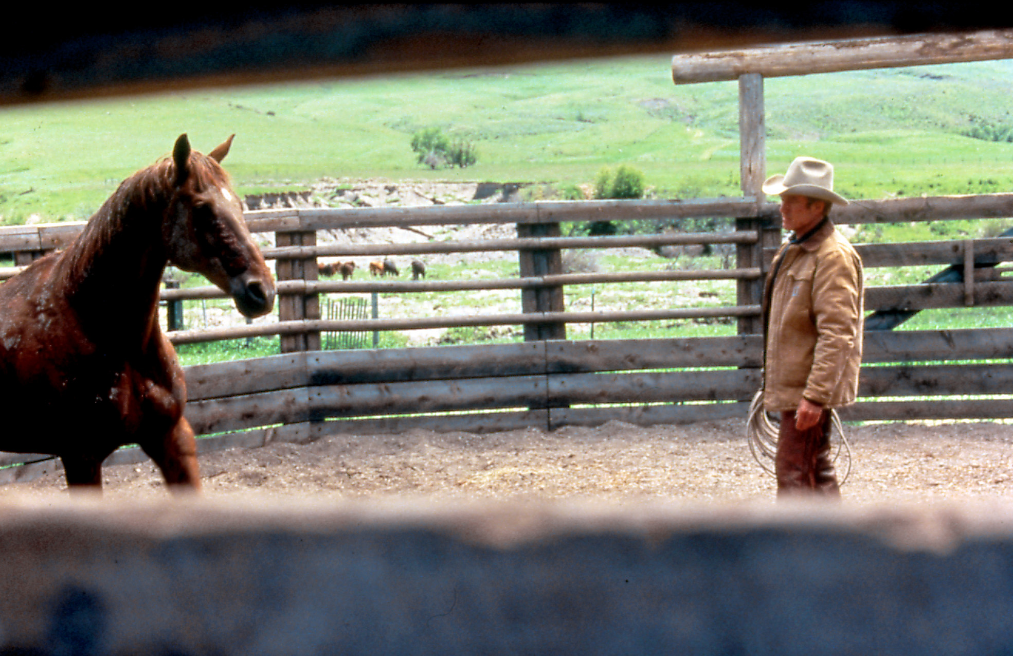 L'uomo che sussurrava ai cavalli, il cast del film con Robert Redford e ...