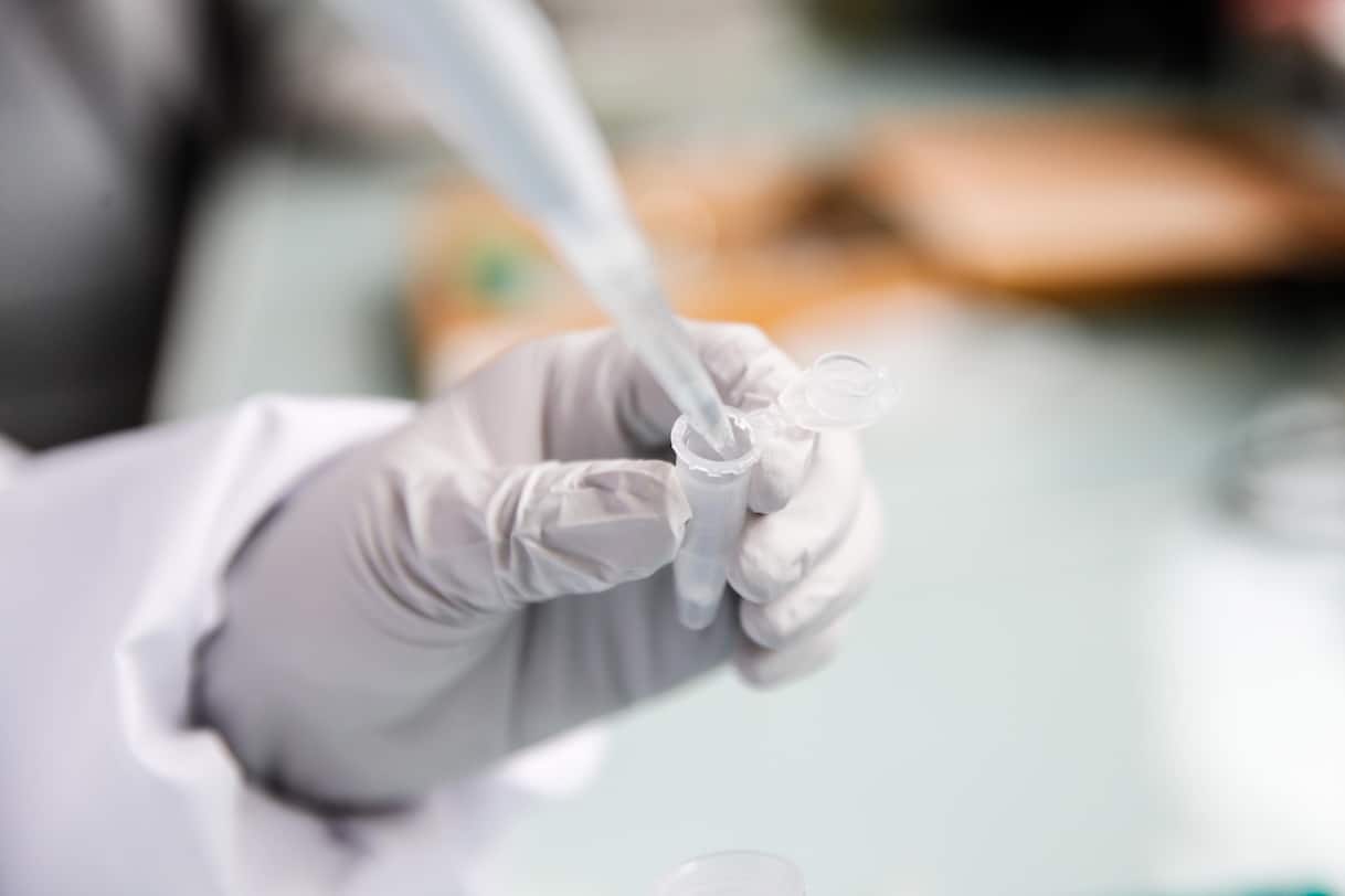 Virus West Nile, 21 contagi a Latina: 32 casi in Italia nel 2025 | Sky TG24