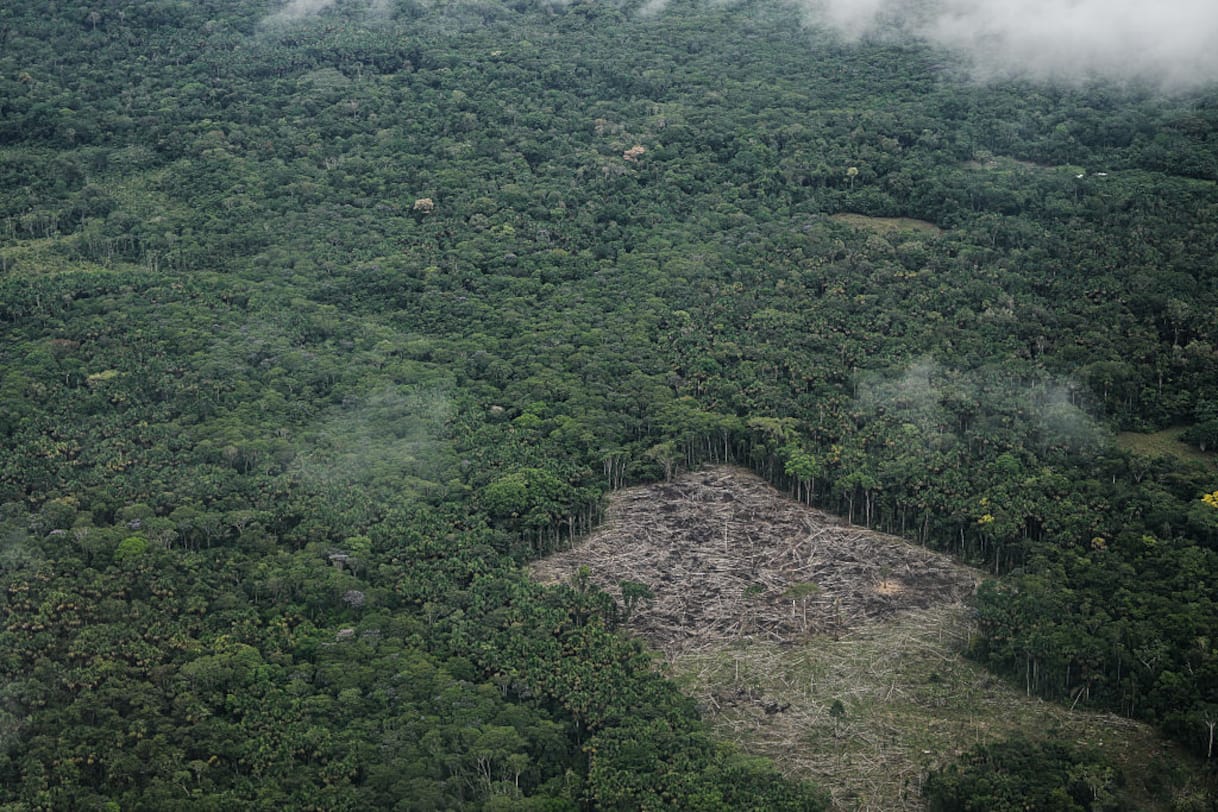 Colombia, trovato l'aereo disperso: morte le 15 persone a bordo | Sky TG24