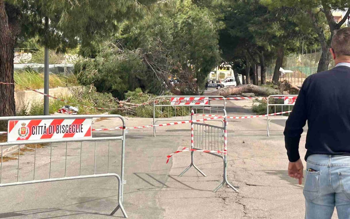 Meteo, allerta vento in Puglia: 2 morti a Taranto e Bisceglie | Sky TG24