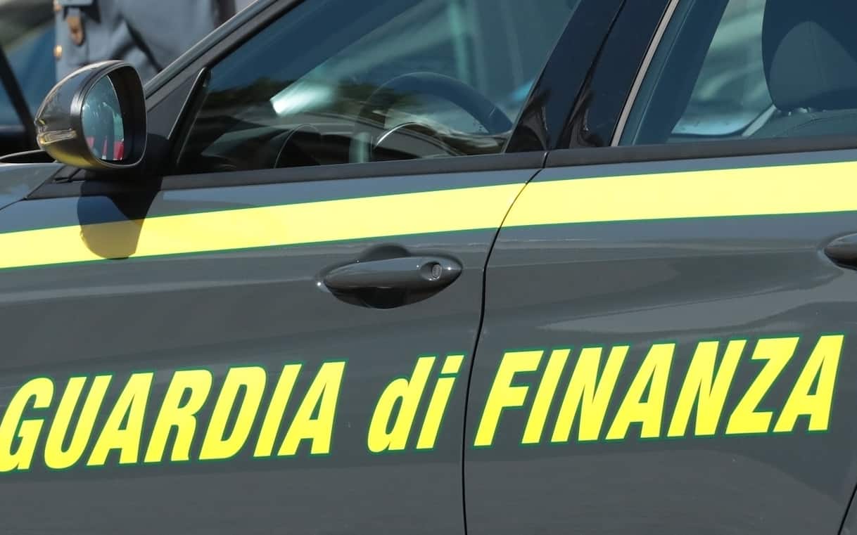 Cranio di orso bruno sequestrato all'aeroporto di Milano Malpensa | Sky ...