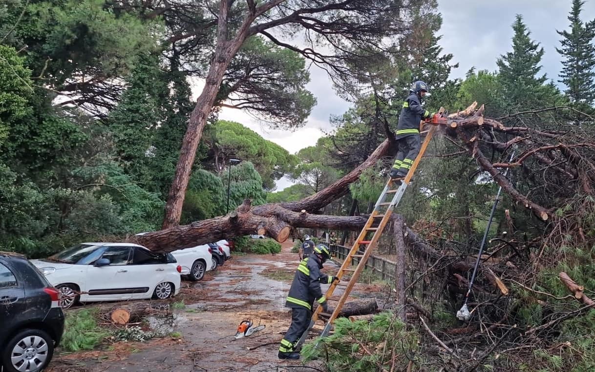 Emilia-Romagna, forti temporali nella notte: grandine e allagamenti tra ...