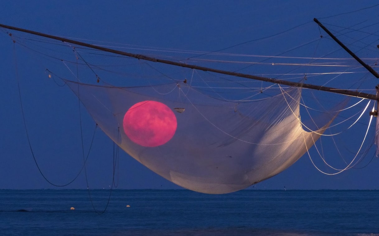 Calendario lunare di gennaio 2026 | Sky TG24