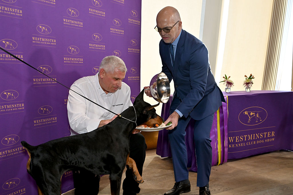 Il dobermann Penny è il cane più bello del mondo del 2026, la ...
