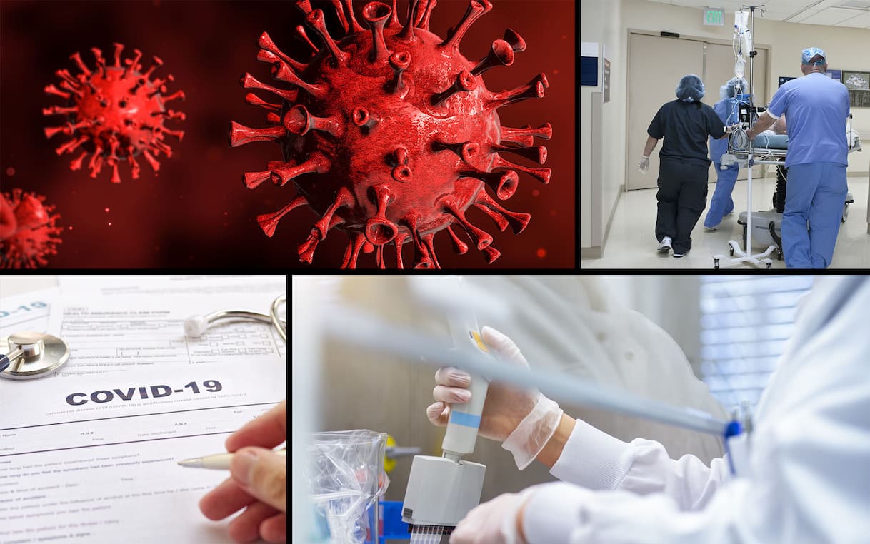 Covid, l'Oms: Oltre 7 milioni di morti dall'inizio della pandemia | Sky ...
