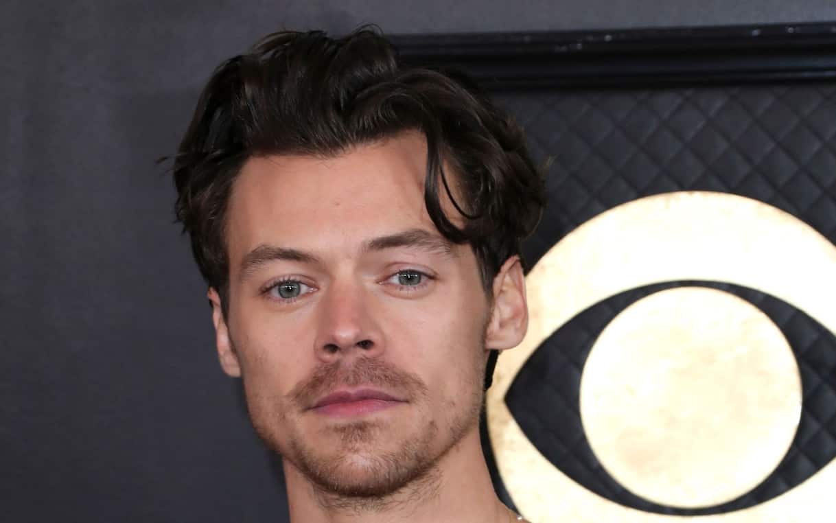 Harry Styles in concerto a Reggio Emilia il 22 luglio, ma i fan sono ...