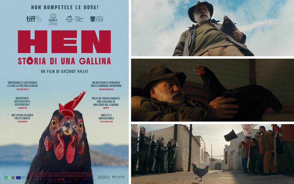 Hen - Storia di una gallina, trama e cast del film che esce oggi al ...