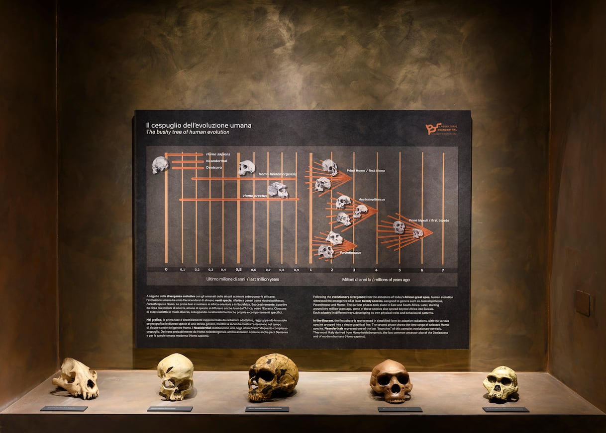 Alla scoperta dei Neanderthal: il MUCIV diventa laboratorio vivo | Sky TG24