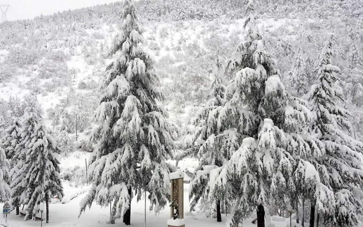 Meteo, è tornata la neve su gran parte dell'Italia anche a bassa quota ...