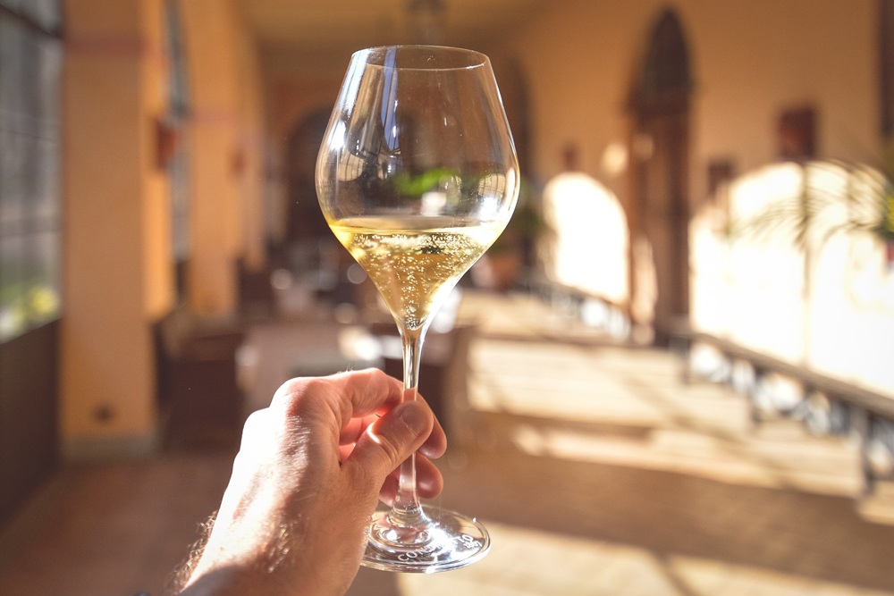 Vinum 2026 ad Alba: date e programma della Fiera dei Vini del Piemonte ...