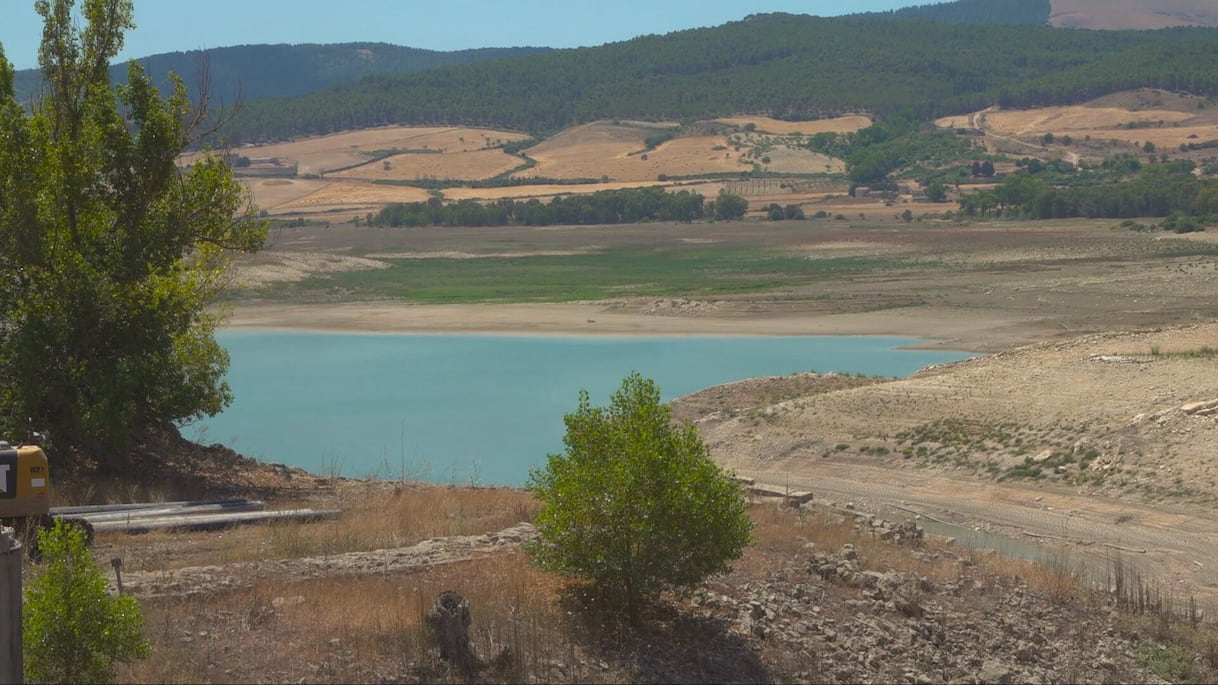 Sicilia, la più grave siccità e la cronica malagestione delle risorse ...