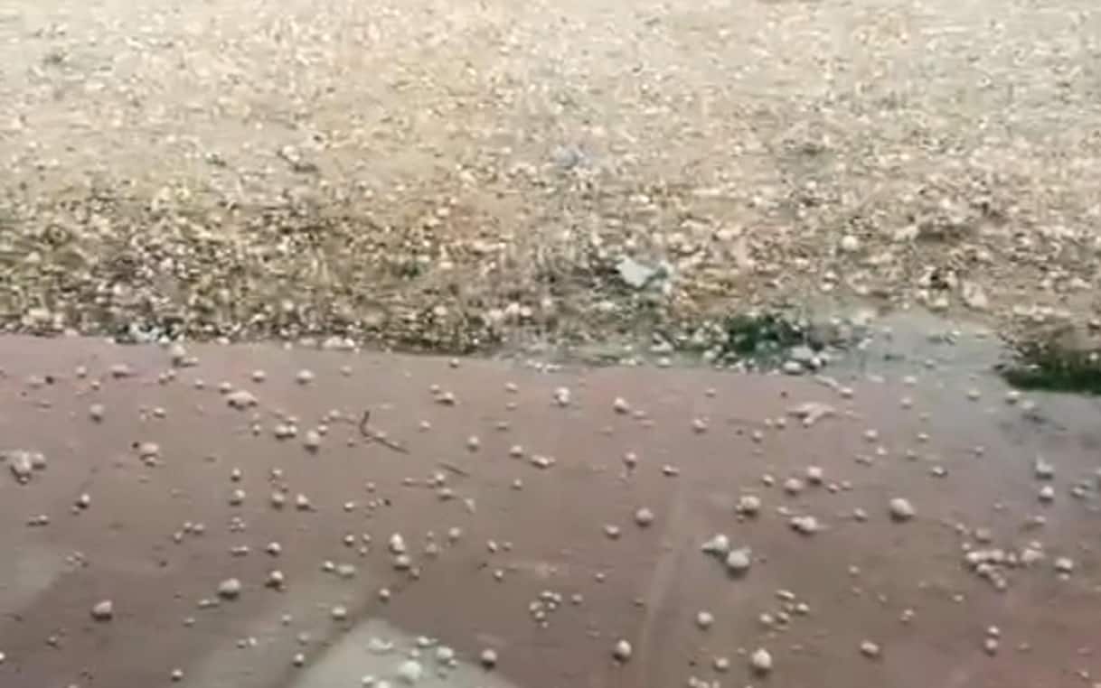 Grandinate e vento forte nel Foggiano, 600 famiglie senza elettricità ...
