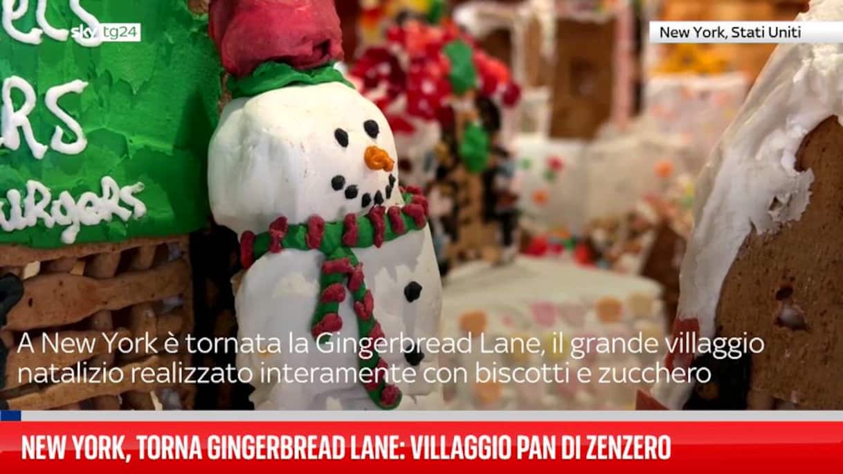 New York, torna Gingerbread Lane: villaggio pan di zenzero | Video Sky TG24