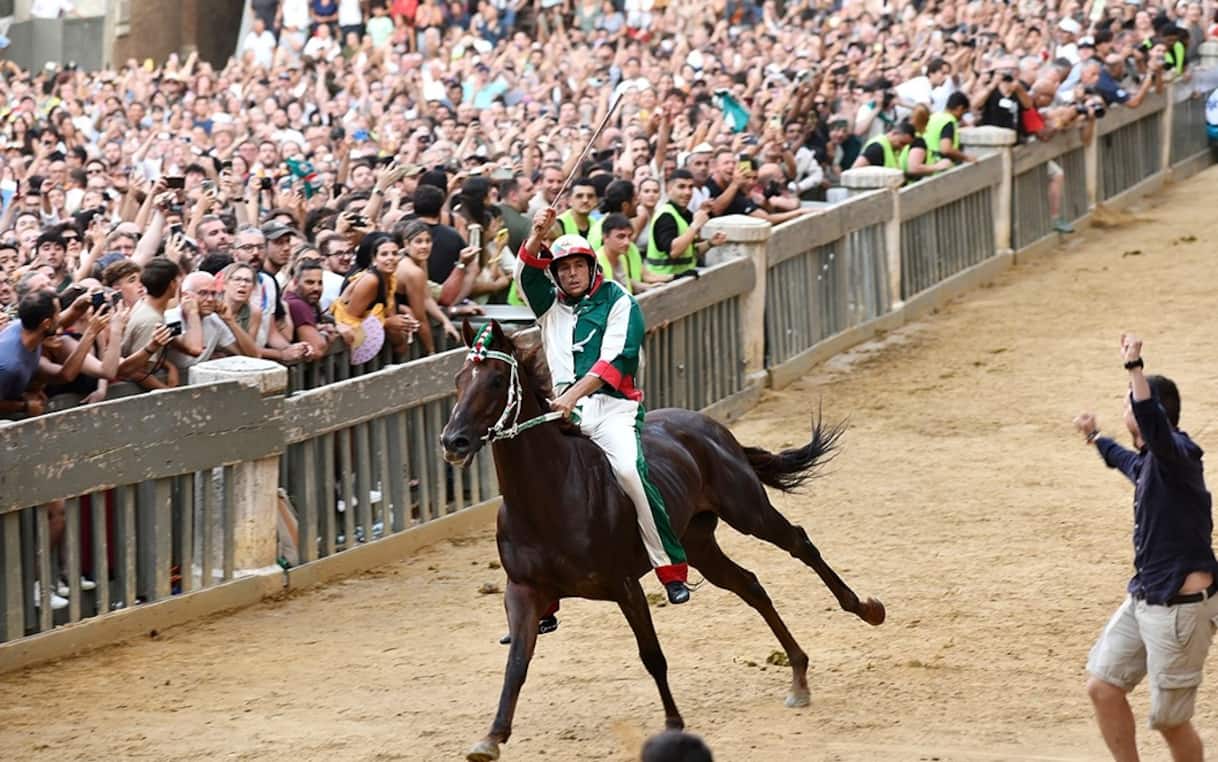 Palio di Siena 2025, vince la contrada dell’Oca. FOTO | Sky TG24