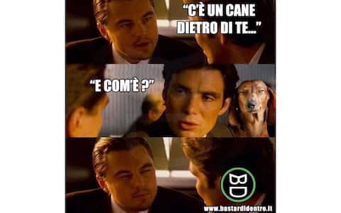 I migliori meme con Leonardo DiCaprio protagonista, da Il grande Gatsby ...