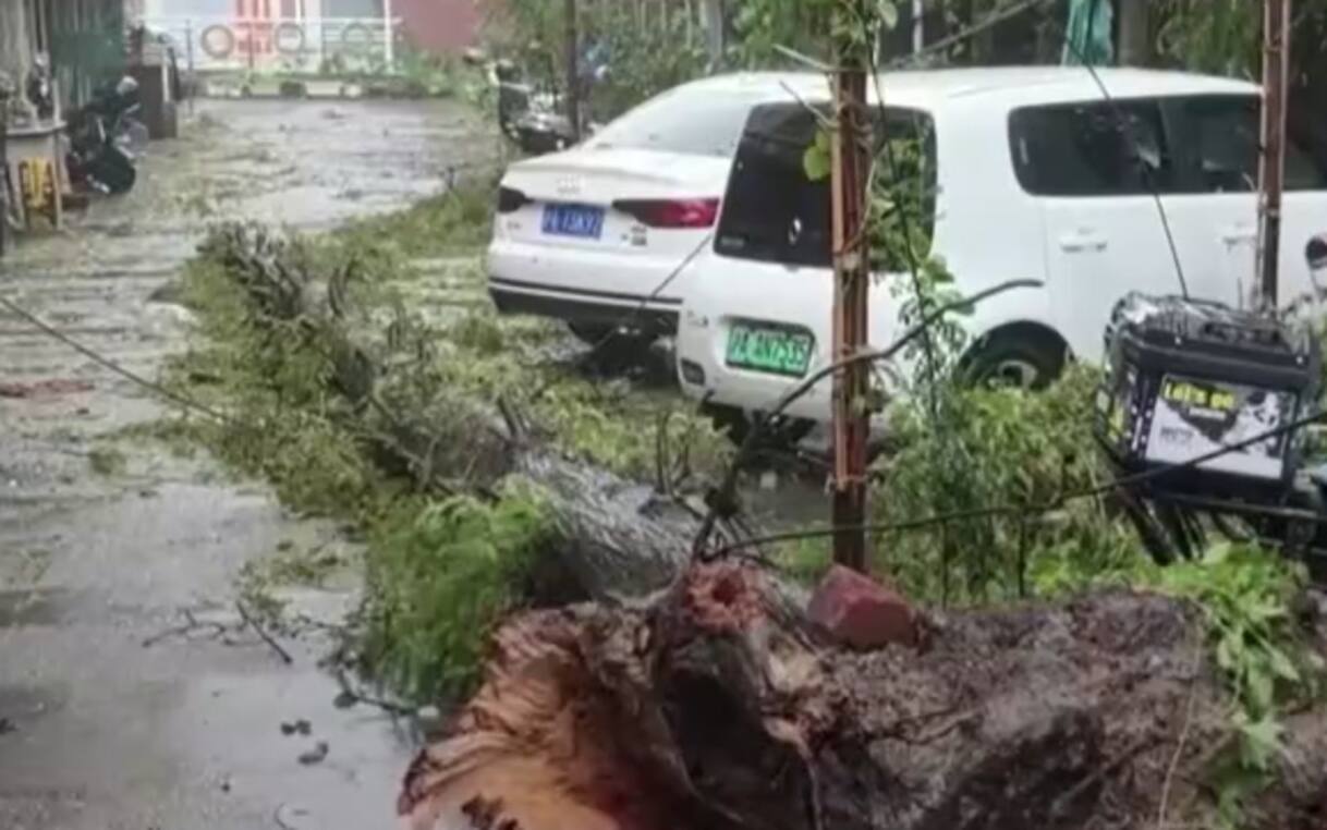 Cina, tifone Pulasan colpisce Shanghai: peggior tempesta degli ultimi ...