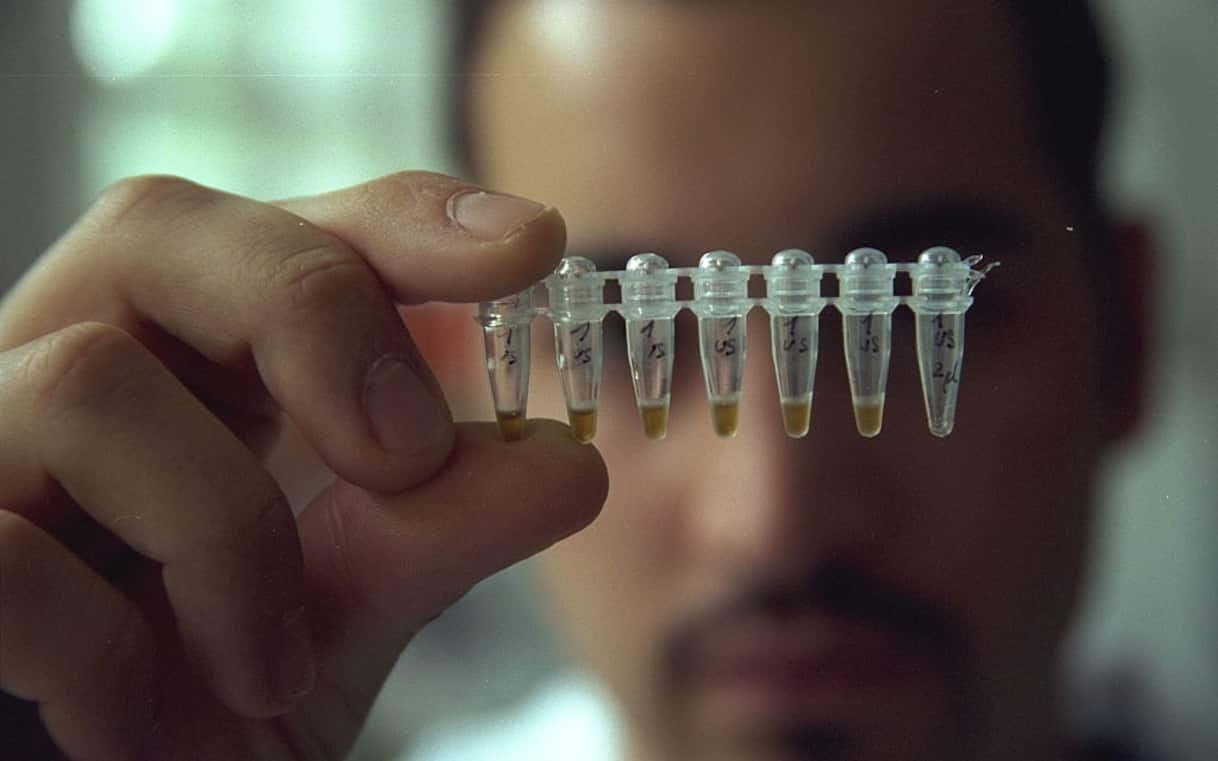 Doping, EPO: cos'è l'eritropoietina e i suoi effetti nello sport | Sky TG24