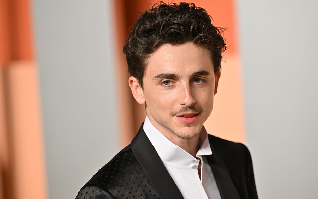 David di Donatello 2025, a Timothée Chalamet assegnato il David ...